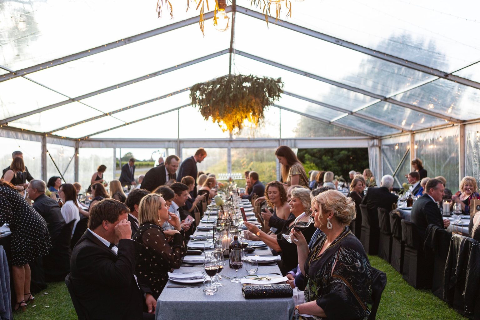 Coonawarra Wine Region, South Australia